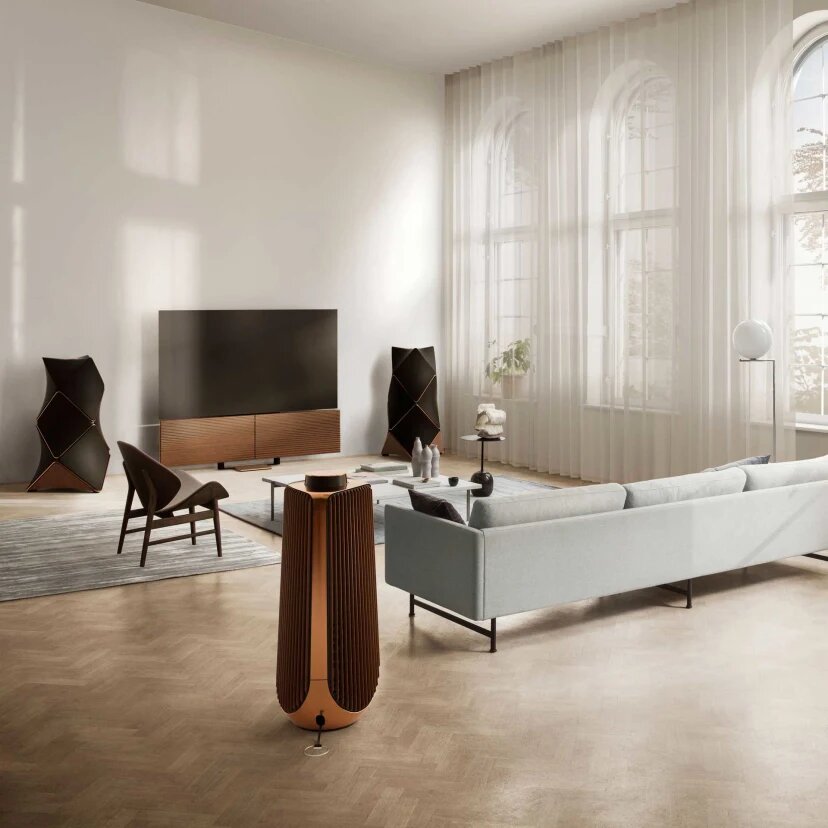 Bang & Olufsen Beolab 90 Speaker - Premium Sound